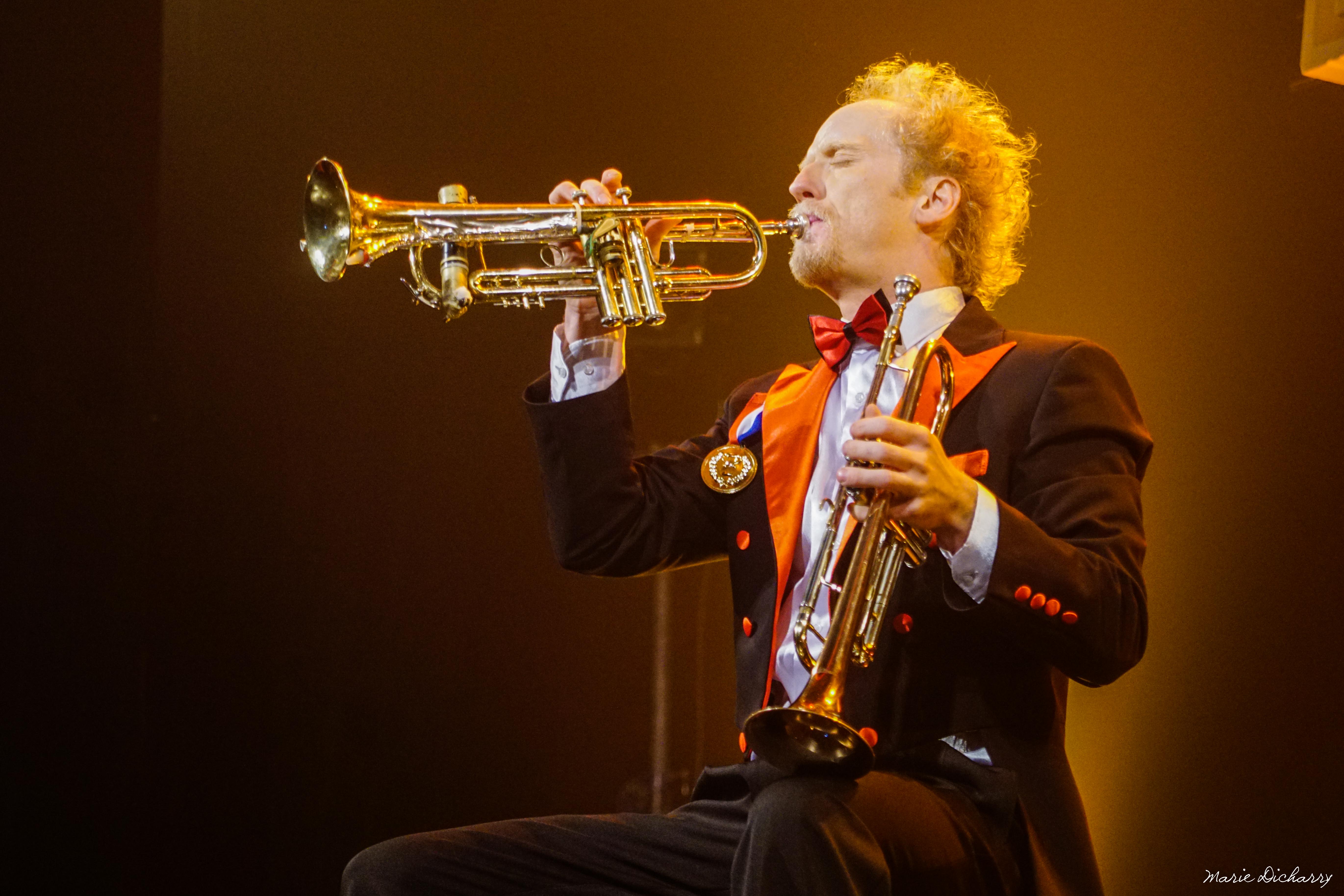 Un Musicien Comique pour votre évènement
